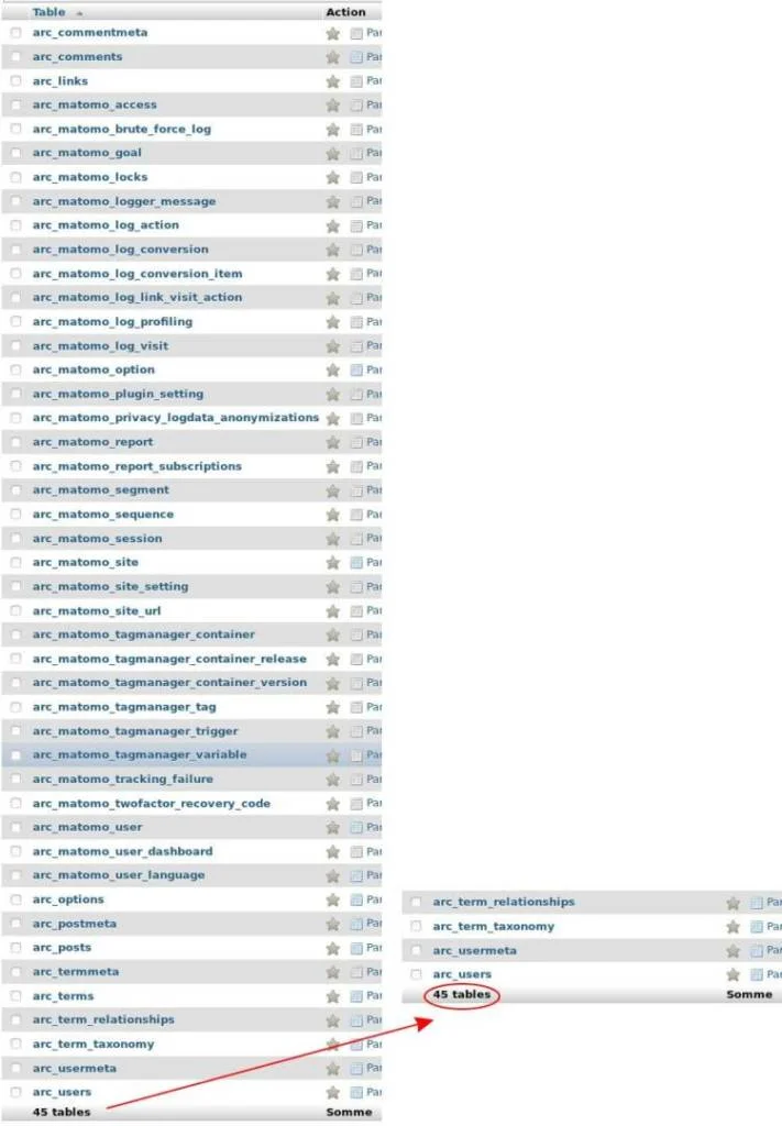 Matomo, ou comment éviter le consentement pour les cookies ? | 100son.net